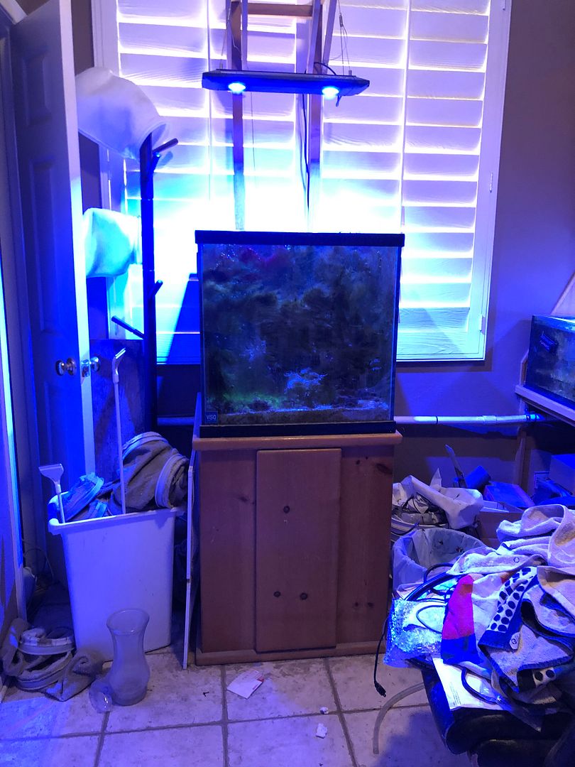 60 Gallon Cube tank with stand and light trellis. | Reef Central Online ...